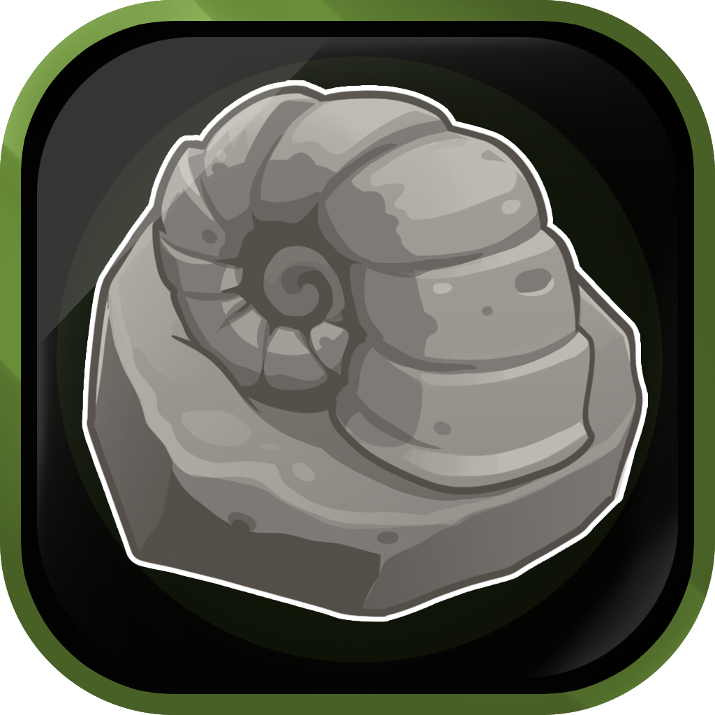 Real Helix Fossil